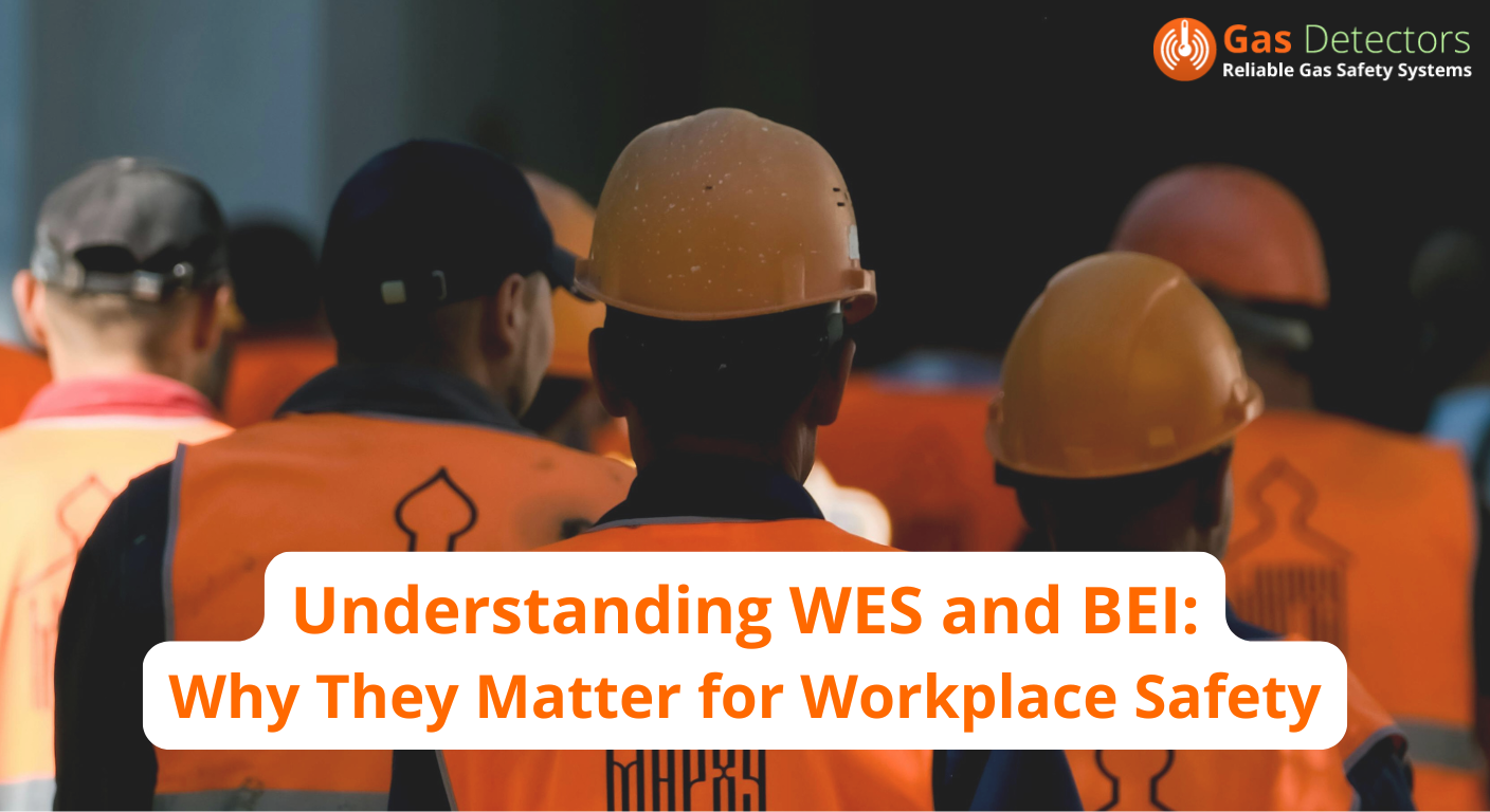 WES & BEI Explained | Workplace Exposure Standards NZ | Gas Detectors NZ